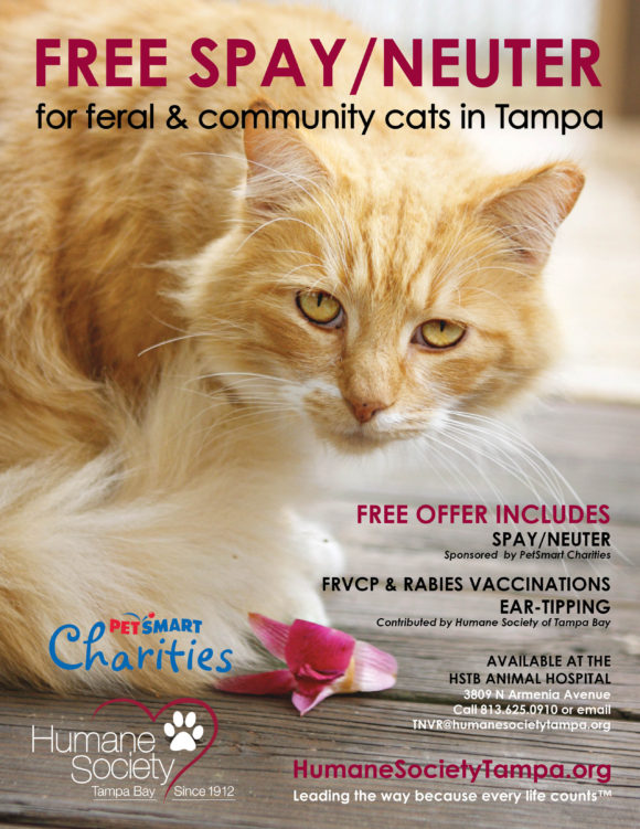 St. Francis Society Animal Rescue - non-profit cat & dog rescue and ...